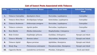 Tobacco | PPTX