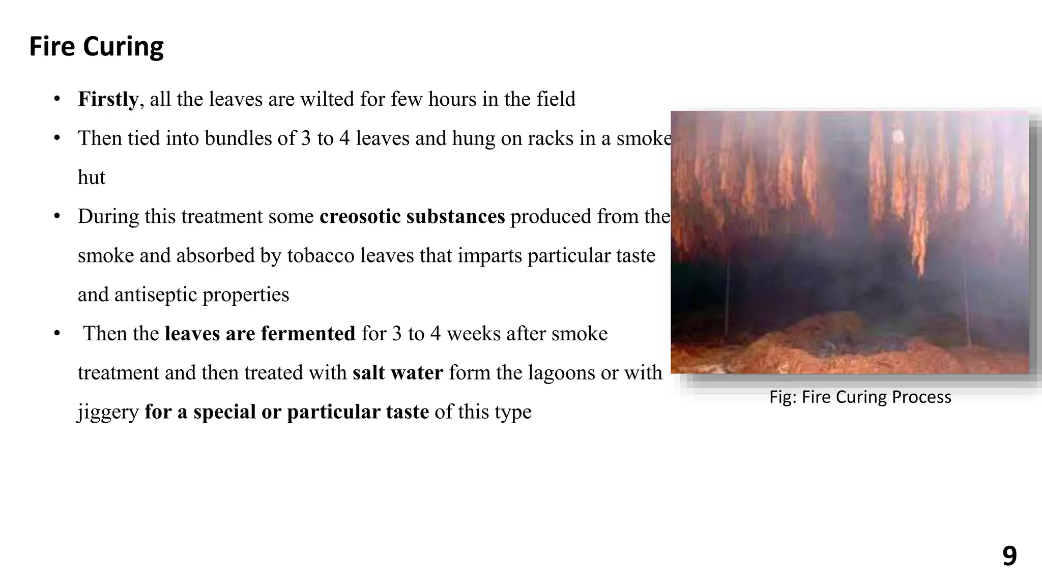 Harvesting and curing method of tobacco | PPTX