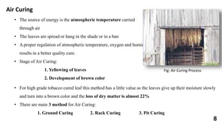Harvesting and curing method of tobacco | PPTX