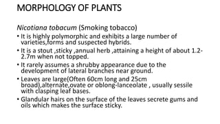TOBACCO .pptx