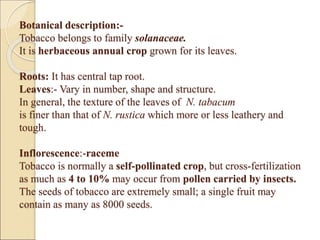 Tobacco.ppt Details cultivation practices of Tobacco | PPT