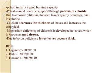 Tobacco.ppt Details cultivation practices of Tobacco | PPT
