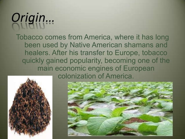 Tobacco origin, meaning and distribution | PPT