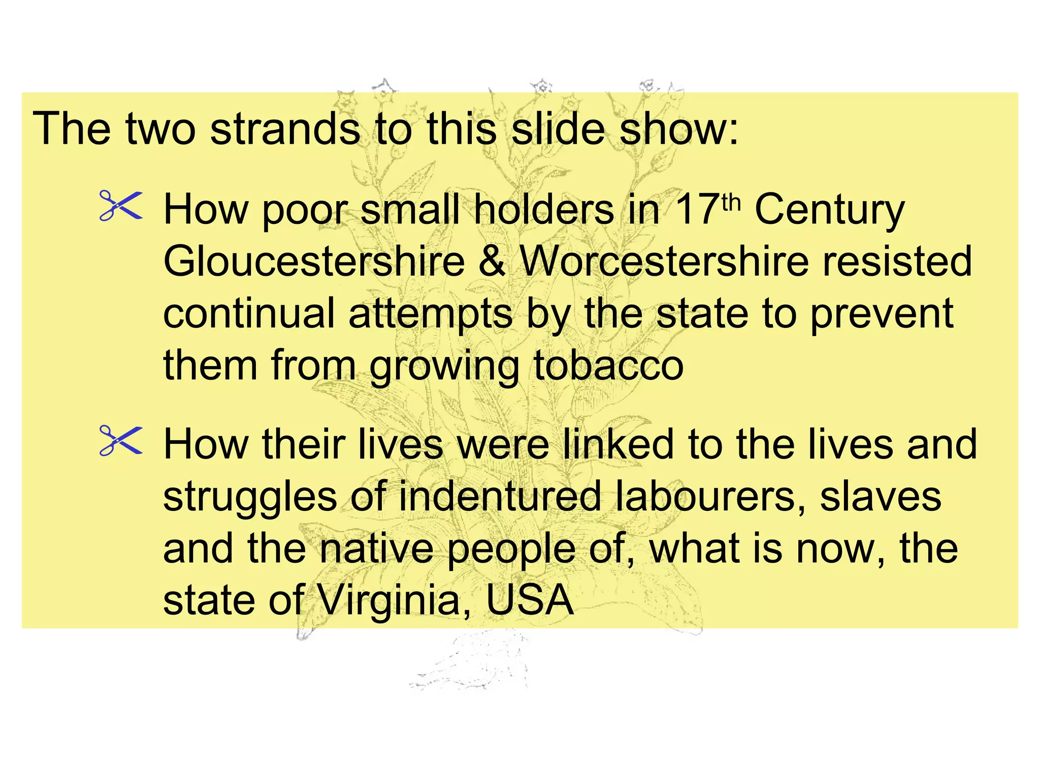 Tobacco Growing in the West of England ~and connections with slave ...