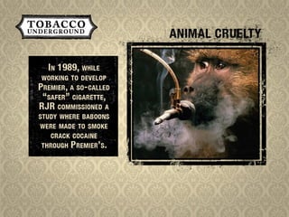 Tobacco Underground | PPT