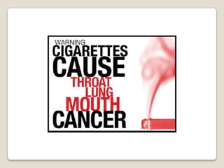Tobacco ads | PPT