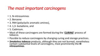 Tobacco and cancer kiran | PPTX