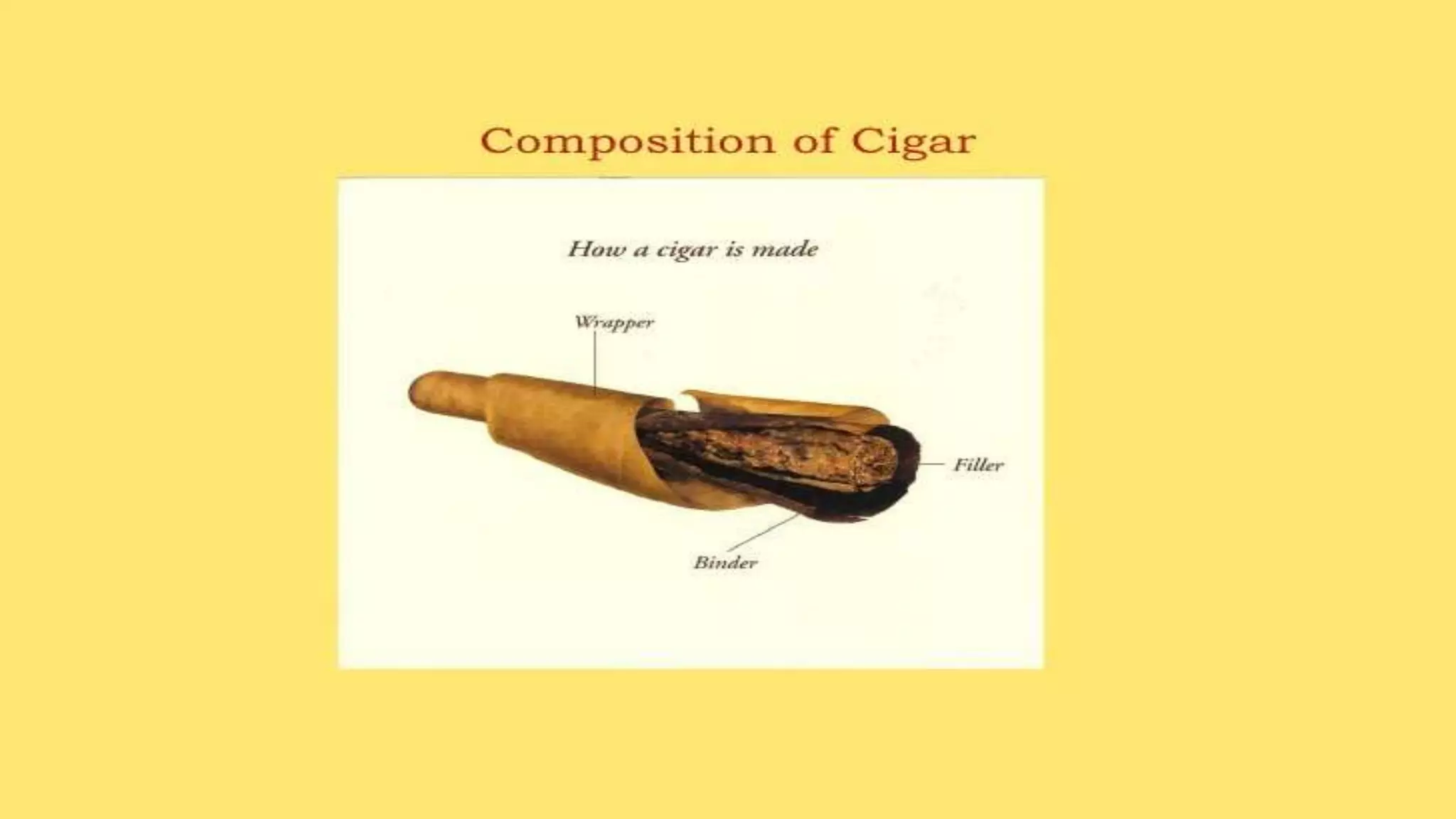 Tobacco final introduction cigar cigarette history | PPTX