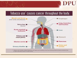 Tobacco free educational institutions | PPTX