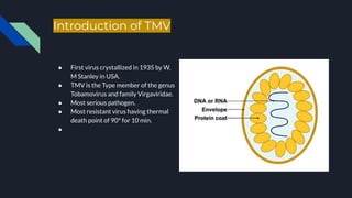 Tobacco mosaic virus | PDF