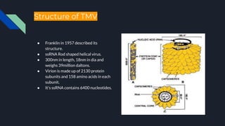 Tobacco mosaic virus | PDF