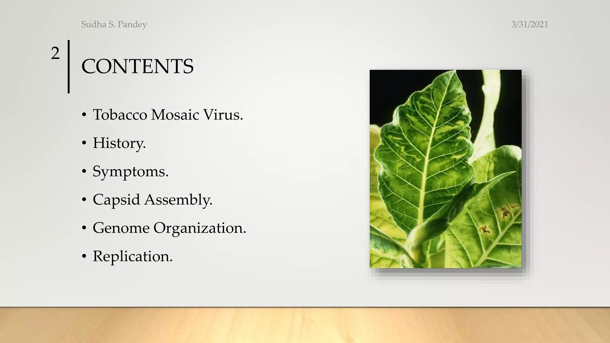Tobacco mosaic virus General Presentation | PPTX