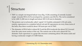 Tobacco mosaic virus General Presentation | PPTX
