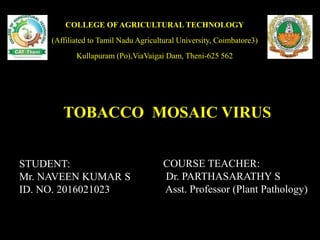 Tobacco mosaic virus | PPT