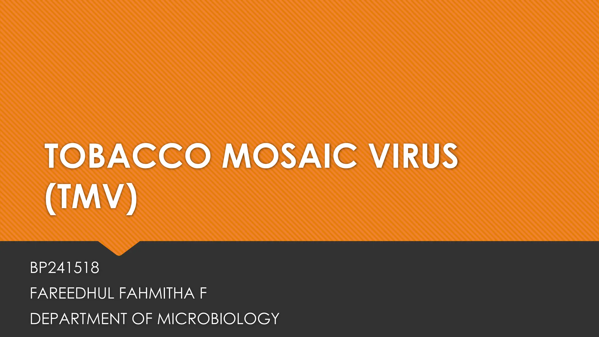 TOBACCO MOSAIC VIRUS (TMV) and its prevention.pptx