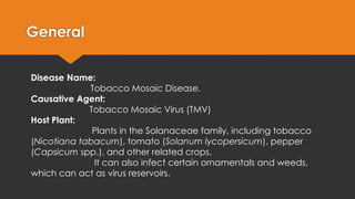 TOBACCO MOSAIC VIRUS (TMV) and its control .pptx