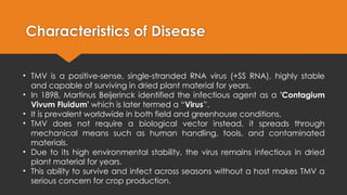 TOBACCO MOSAIC VIRUS (TMV) and its control .pptx
