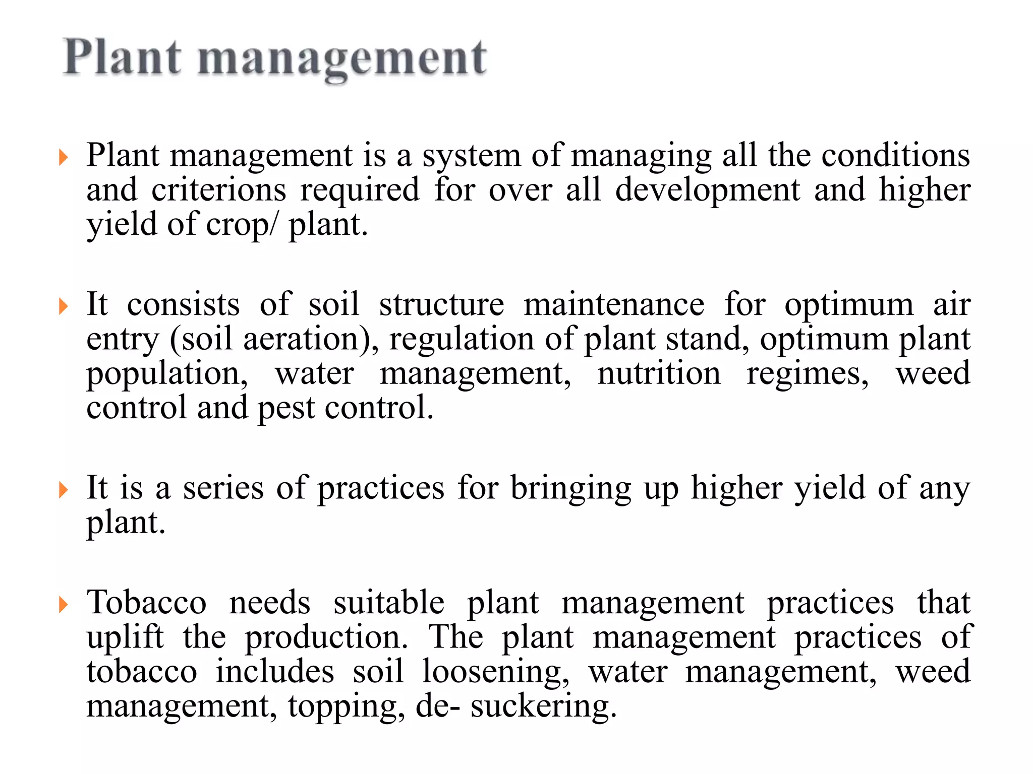 Tobacco intercultural operations | PPTX