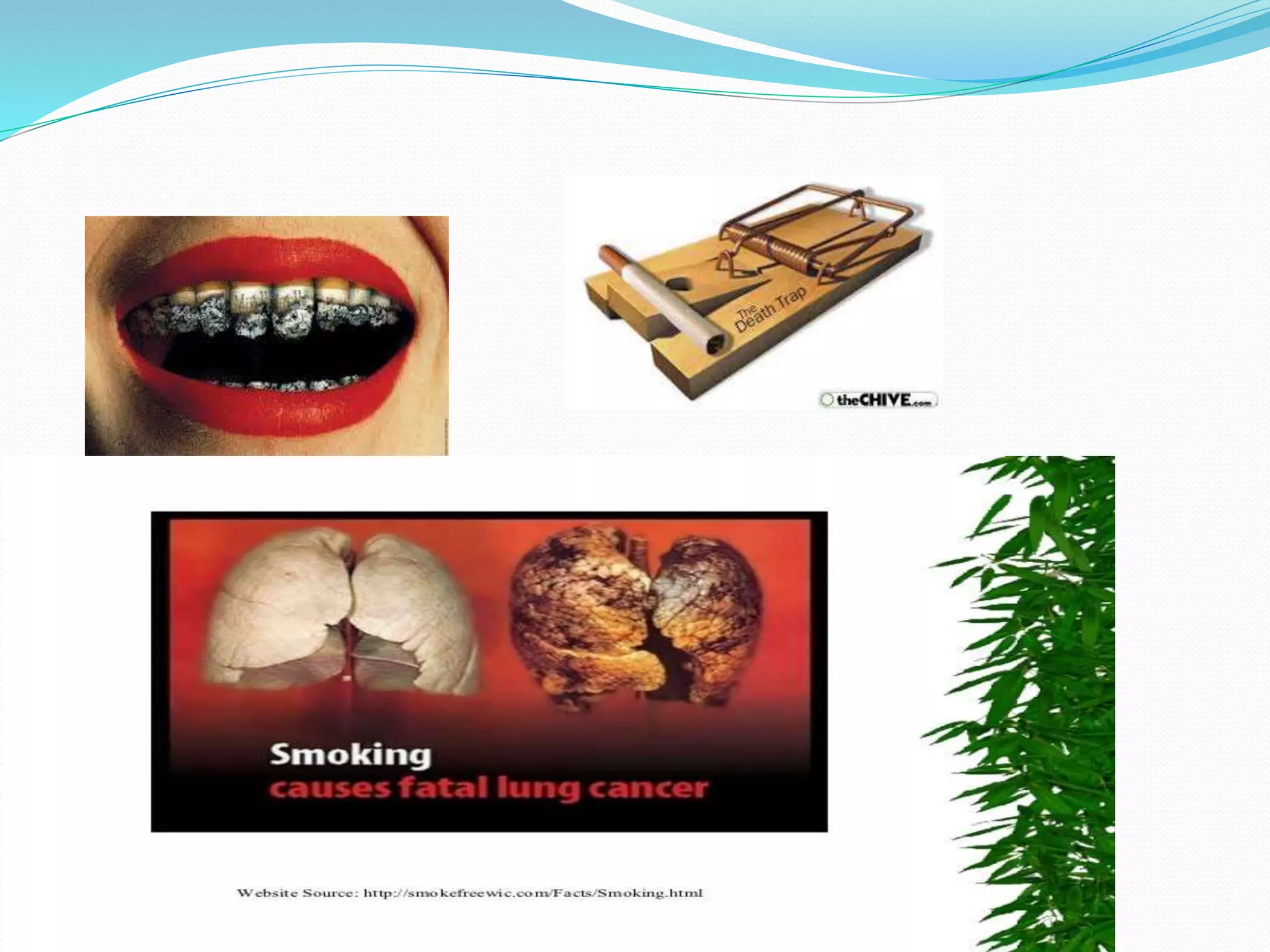 Tobacco smoking and its bad effects | PPTX