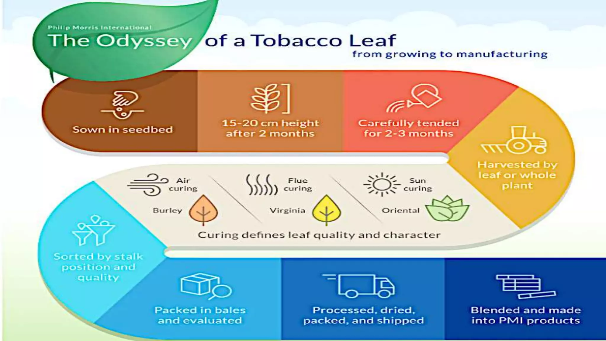 History and types of tobacco use.pptx