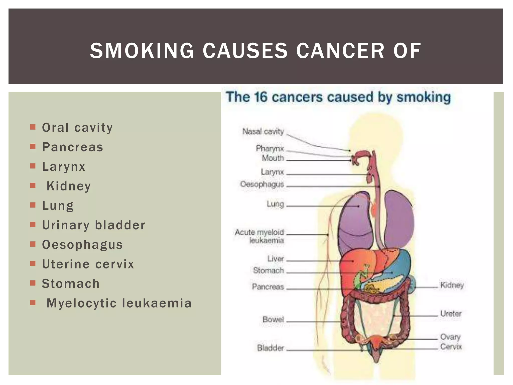 Tobaco smoking | PPTX