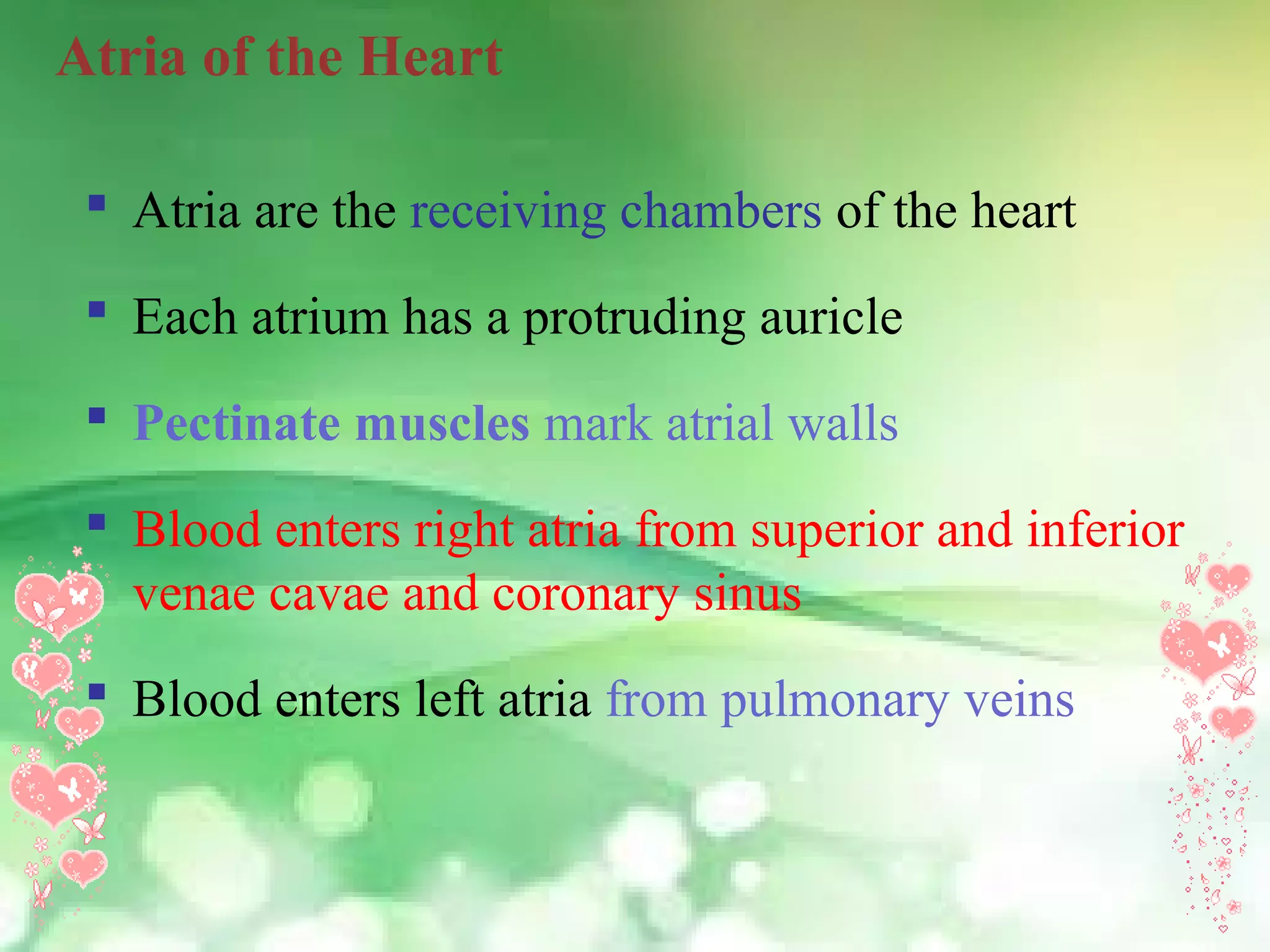 Cardiovascular System | PPT | Heart and Cardiovascular Diseases ...