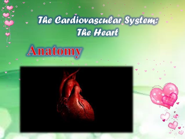 Cardiovascular System | PPT