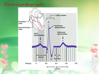 Cardiovascular System | PPT