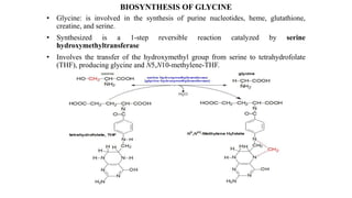 TOBIAS BIOSYNTHESIS OF AMINO ACIDS PRESENTATION.pptx