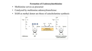 TOBIAS BIOSYNTHESIS OF AMINO ACIDS PRESENTATION.pptx