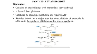 TOBIAS BIOSYNTHESIS OF AMINO ACIDS PRESENTATION.pptx