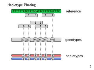 Tobias marschall haplotype aware genotyping | PDF | Genetics | Science