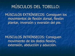 Tobillo | PPT