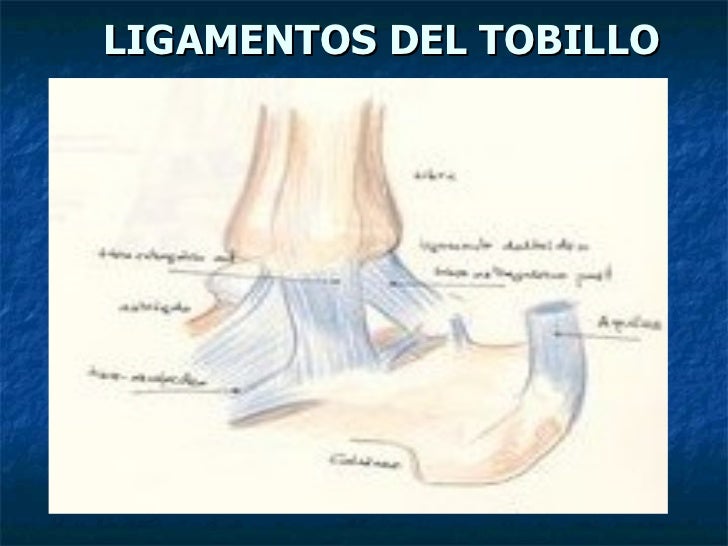 Tobillo