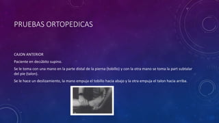 Tobillo | PPTX