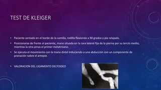 Tobillo | PPTX