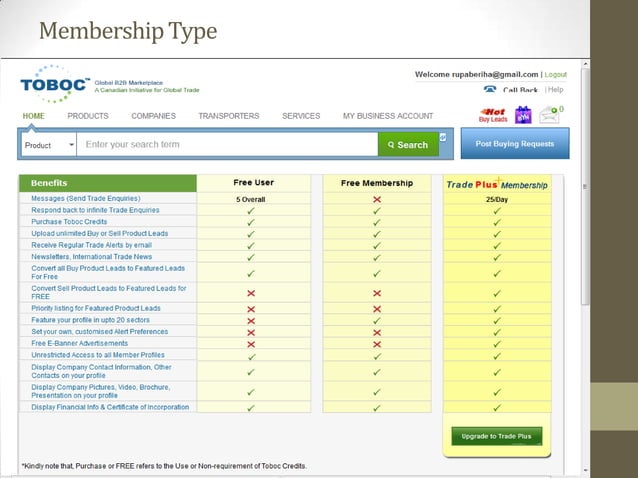 Business Model and Process | PPTX