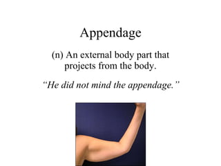 "To Build a Fire" vocabulary | PPT