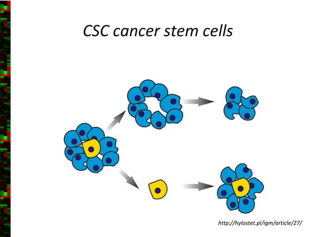Targeting ovarian cancer project | PPT