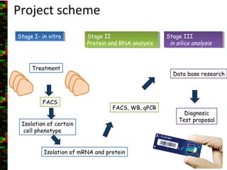 Targeting ovarian cancer project | PPT