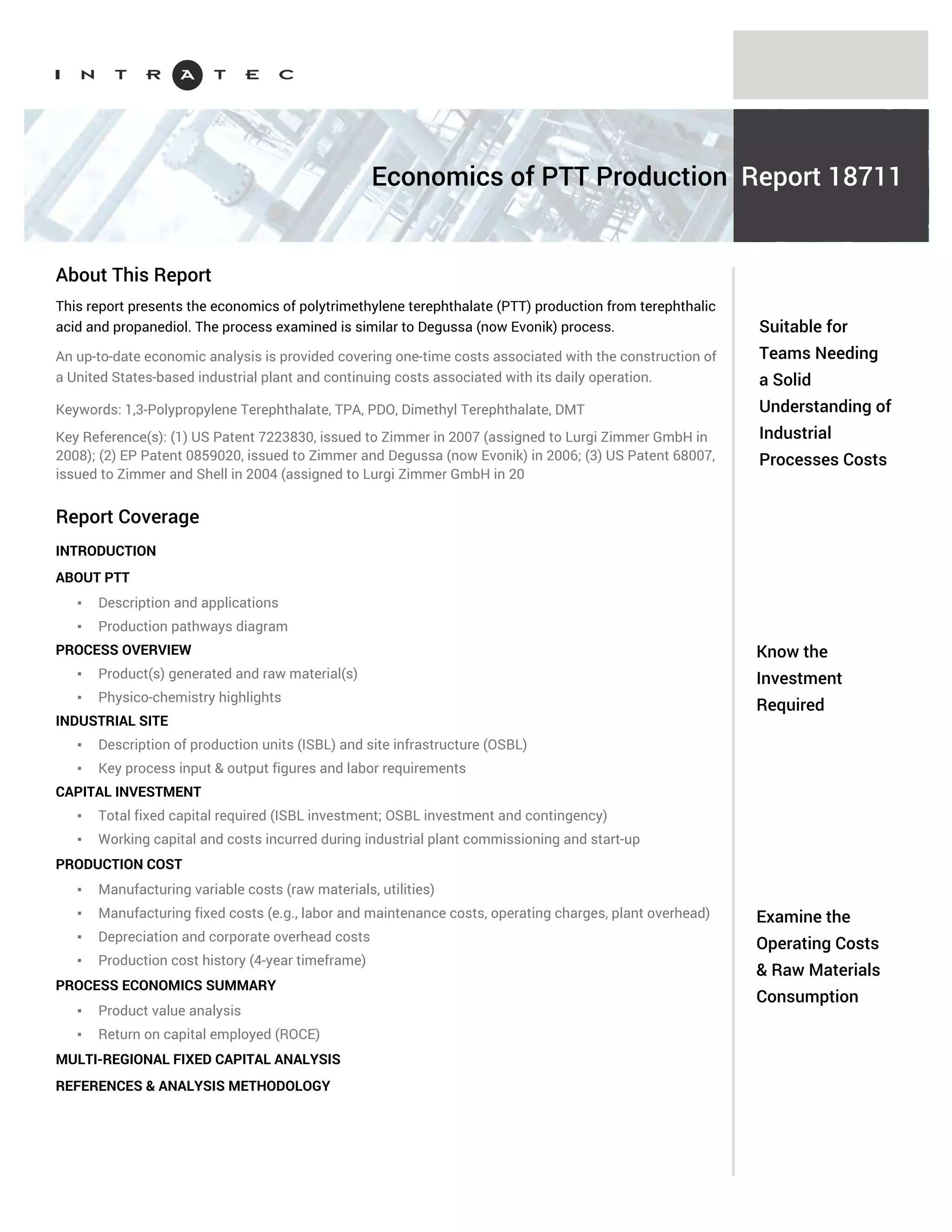 Economics of PTT Production Processes | PDF