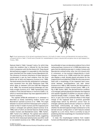 The evolutionary history of the hominin hand since the last common ...