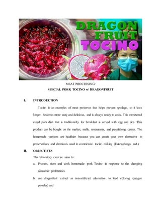 DRAGON FRUIT TOCINO | DOCX
