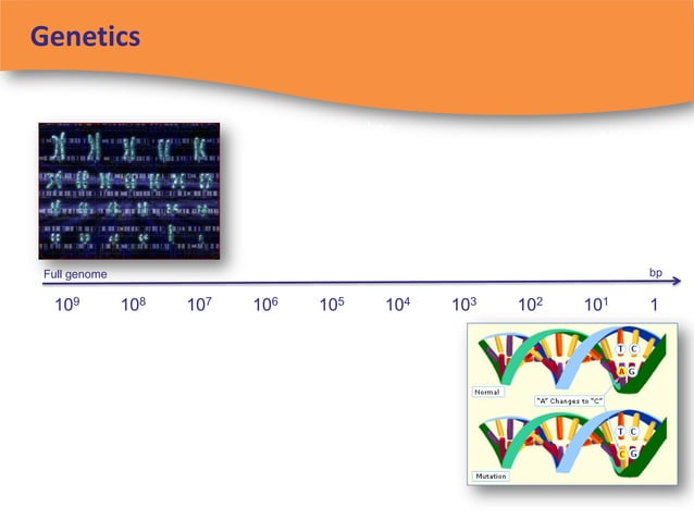 Setting Up a CLIA Lab | PPTX | Lung and Respiratory Health | Diseases ...