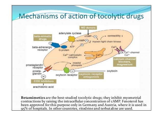 Tocolytic (Fartoks)
