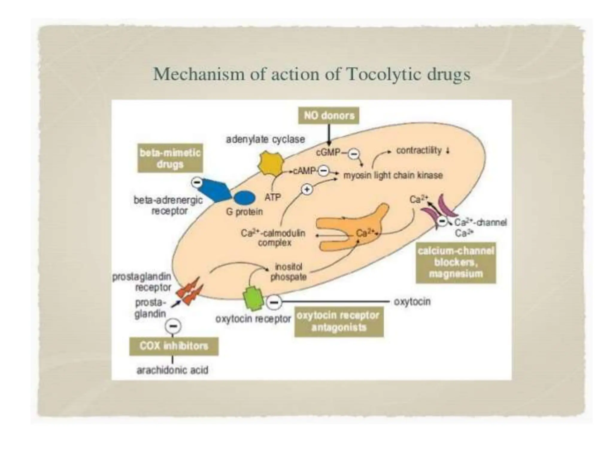 Tocolytics medicines in Obstetrics and gynpptx | PPTX