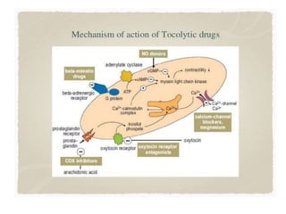 Tocolytics medicines in Obstetrics and gynpptx | PPTX