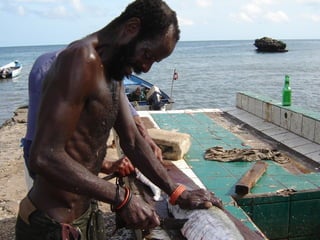 The Toco Port Project | PPT