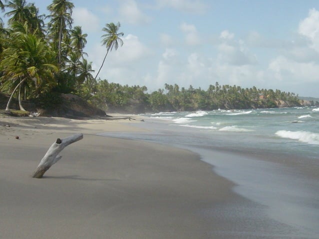 The Toco Port Project | PPT