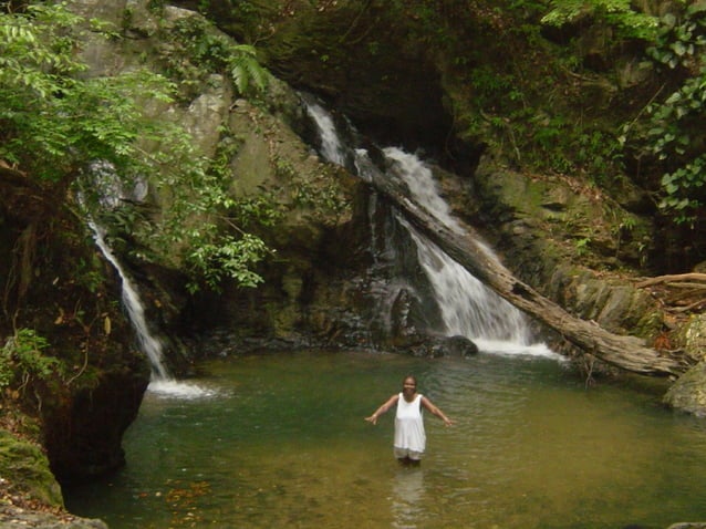 The Toco Port Project | PPT